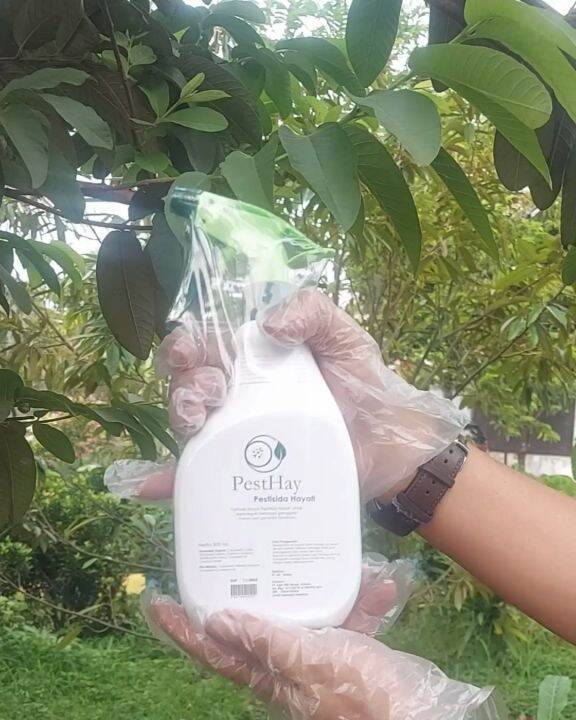 Obat Pembasmi Hama Penyakit Tanaman PESTHAY Pestisida Insektisida ...