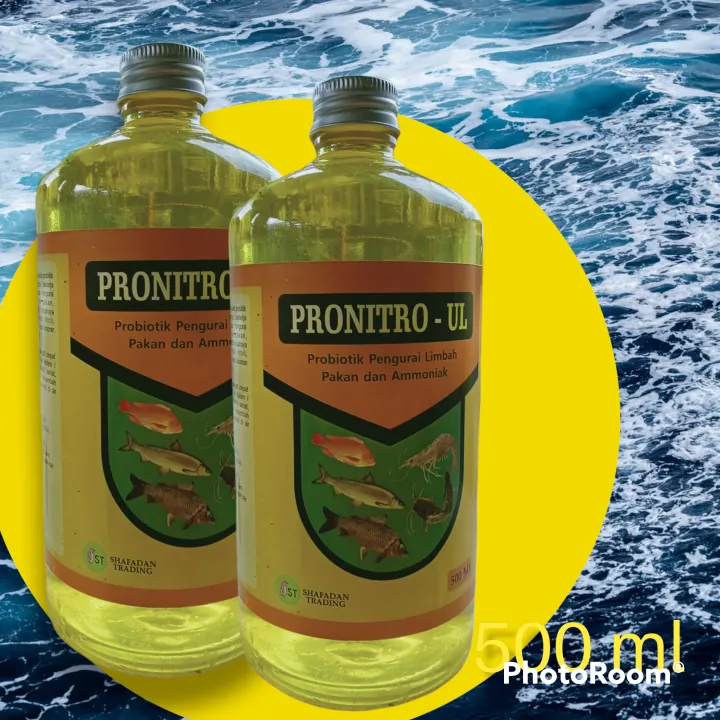 Probiotik Nitrobacter Nitrosomonas sp PRONITRO 500 ml Utk Ikan dan Tambak Udang | Lazada Indonesia