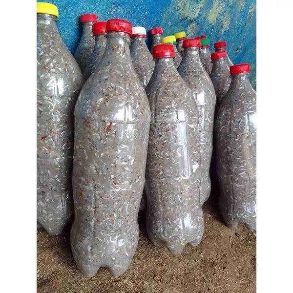 1.5 Liter Bagoong Dilis (locally made from Masbate) | Lazada PH