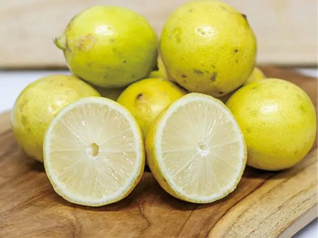 Lemon Jeruk | Lemon lokal 1kg | Lemon Lokal | Jeruk Lemon Segar | Lemon ...