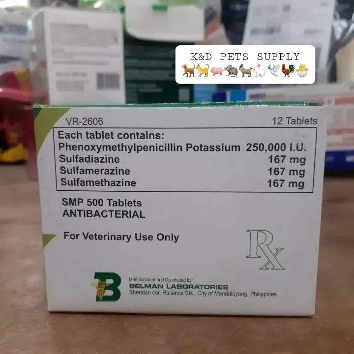 SMP 500 / 12 TABLETS IN 1 BOX | Lazada PH