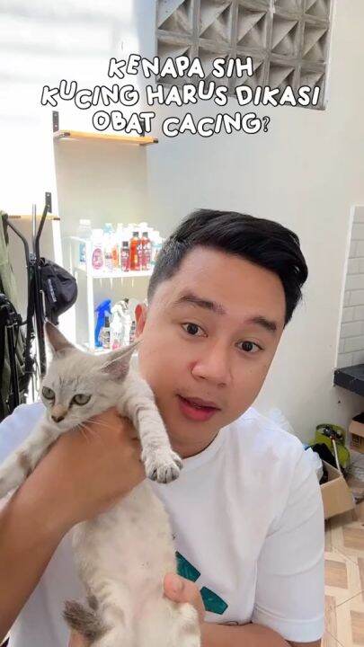 Obat Cacing Kucing O-Cing 20 ML | Lazada Indonesia