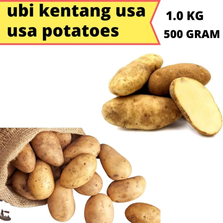KENTANG USA - RUSSET POTATOES ORIGINAL (1 KG.) | Lazada