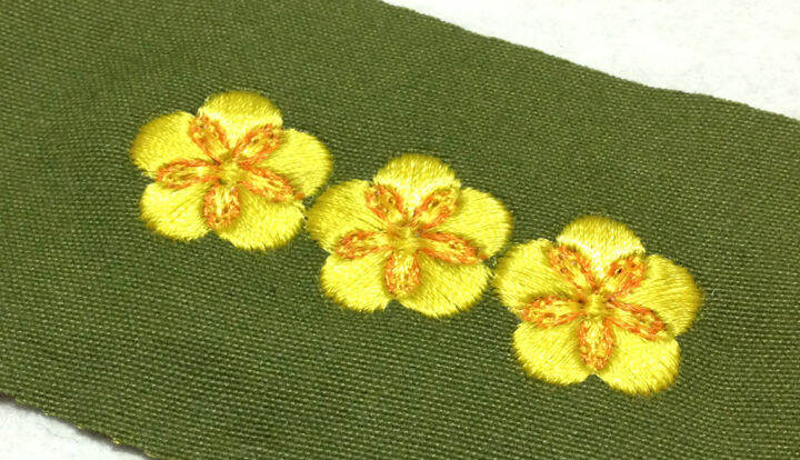 The Vietnam War South Vietnam US Army Color Captain ARVN Dark Rank ...