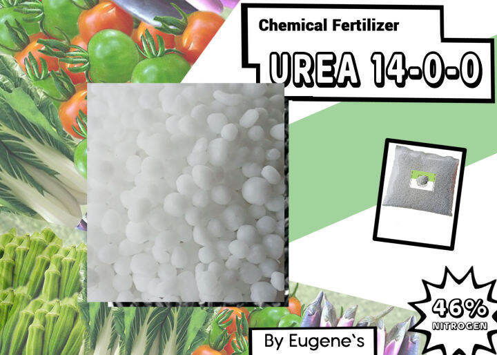UREA 46-0-0 Fertilizer 250grams | Lazada PH