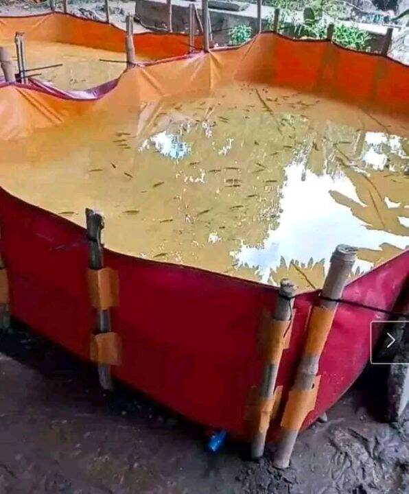 Maruyama azolla fish pond 10x5x2ft original high quality | Lazada PH