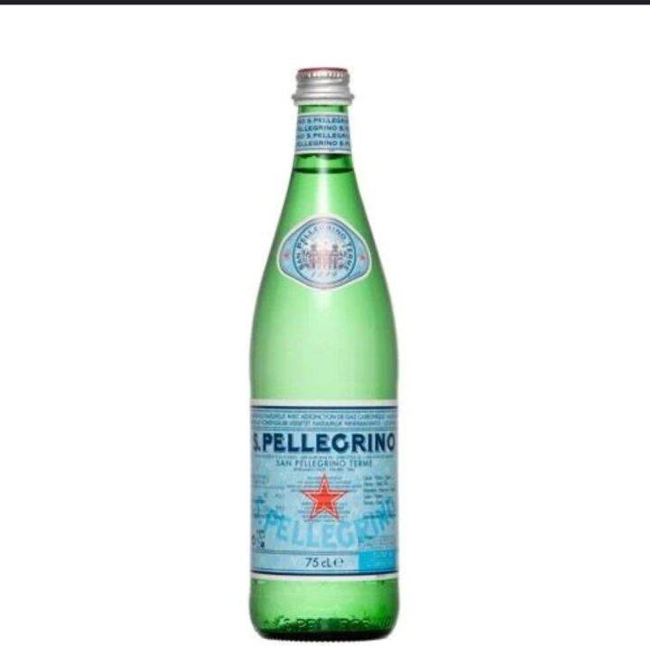 san pellegrino sparkling water 500ml x 24 | Lazada PH