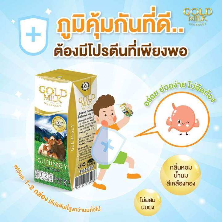 GoldMilk Guernsey UHT 4 ลัง ส่งฟรีจากฟาร์ม | Lazada.co.th