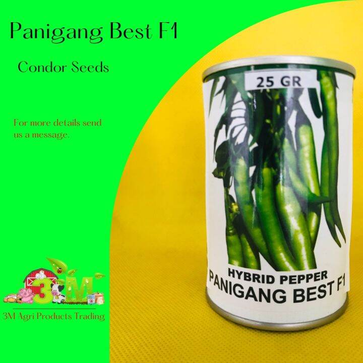 Panigang Best F1 (Condor) | Lazada PH