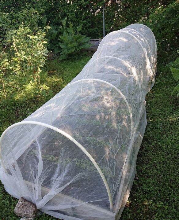 White Greenhouse Shade Insect Net 5ft width | Lazada PH