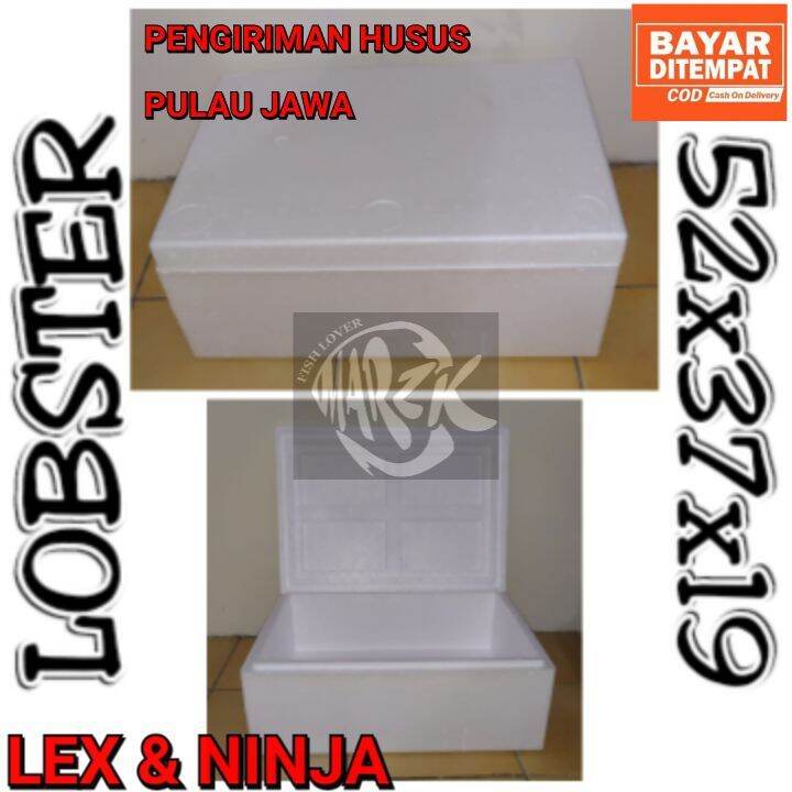 hydroponik 50x37x19 BOX STEROFOM / GABUS/ BREEDING / ICE BOX | Lazada ...