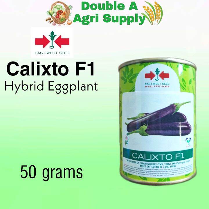 Calixto F1 Hybrid Eggplant 50 grams - East West Seed | Lazada PH