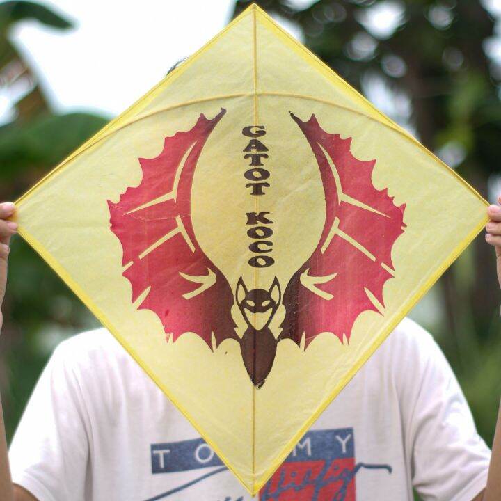 Layangan Sukhoi Sayur 30 Pcs | Lazada Indonesia