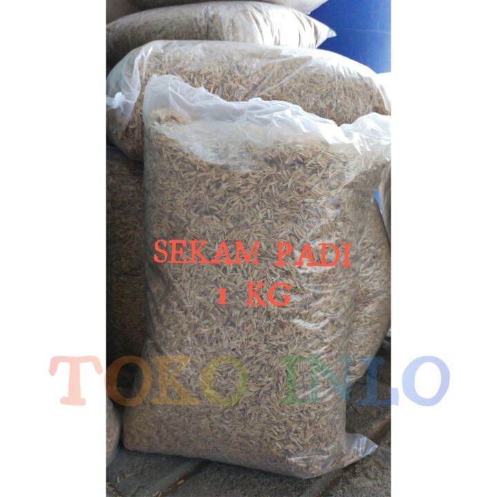 Sekam Padi/Sekam/Sekam Alas Kandang Mencit/Sekam Padi | Lazada Indonesia