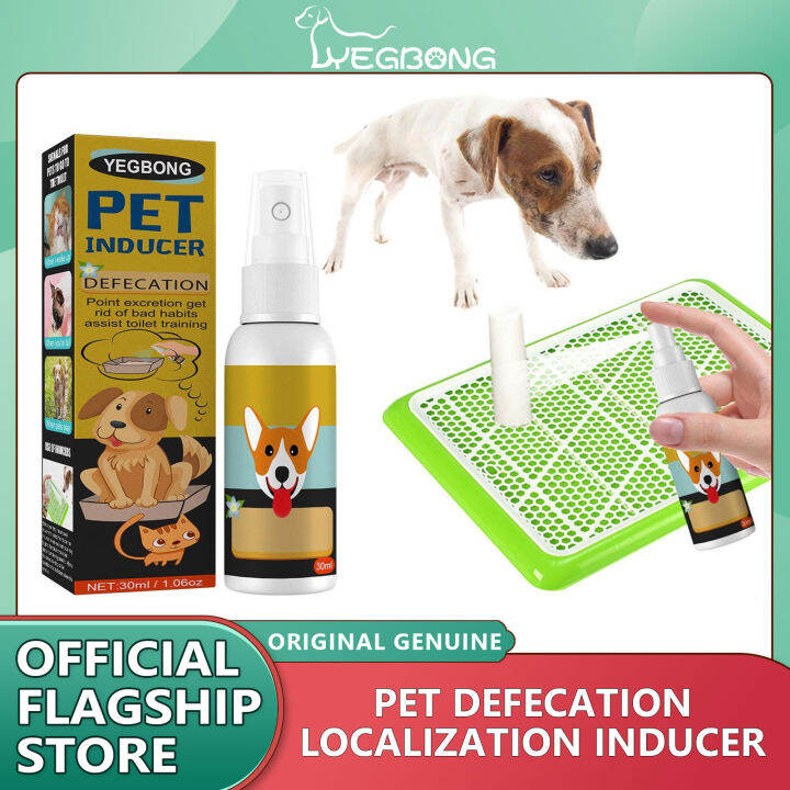 Yegbong Pet Dog Spray Inducer Dog Toilet Training Puppy Positioning ...