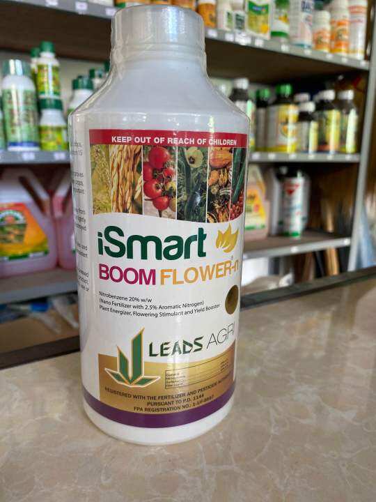 iSmart Boom Flower ltr | Lazada PH