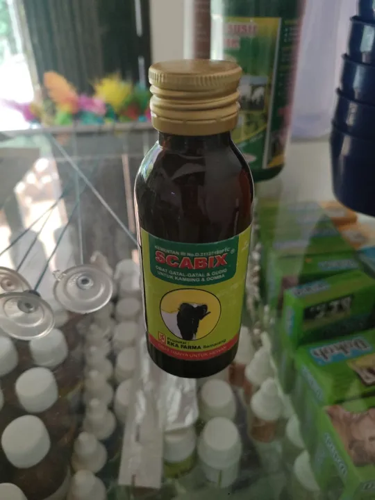 Scabix Obat Scabies Gatal Eksim Parasit Kambing Domba Kucing Sapi ...