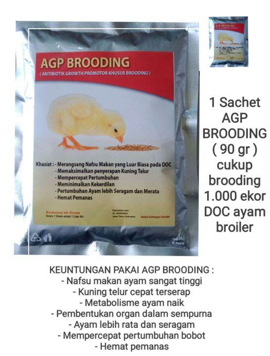 AGP BROODING -FORMULA AYAM-ViITAMIN AYAM untuk 3 hari | Lazada Indonesia
