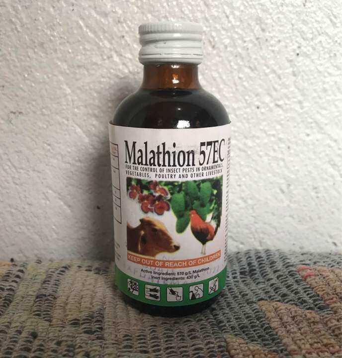 Malathion 57EC (Shampoo/Pesticide for Pigeons) | Lazada PH