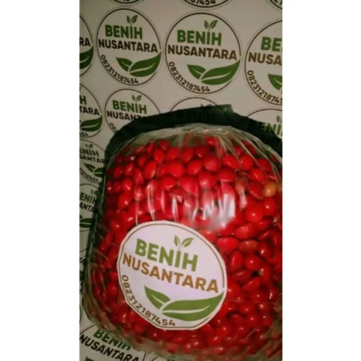 BIJI SAGA 1KG SUPER MERAH MERONA | Lazada Indonesia