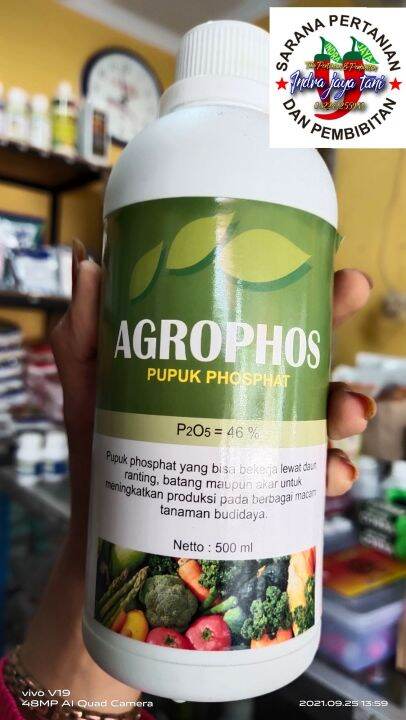 PUPUK PHOSPHAT AGROPHOS 500ml | Lazada Indonesia