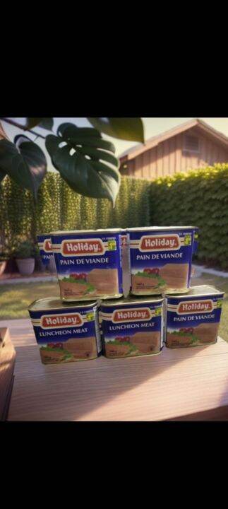 HOLIDAY LUNCHEON MEAT 340g Original and Imported from Canada | Lazada PH