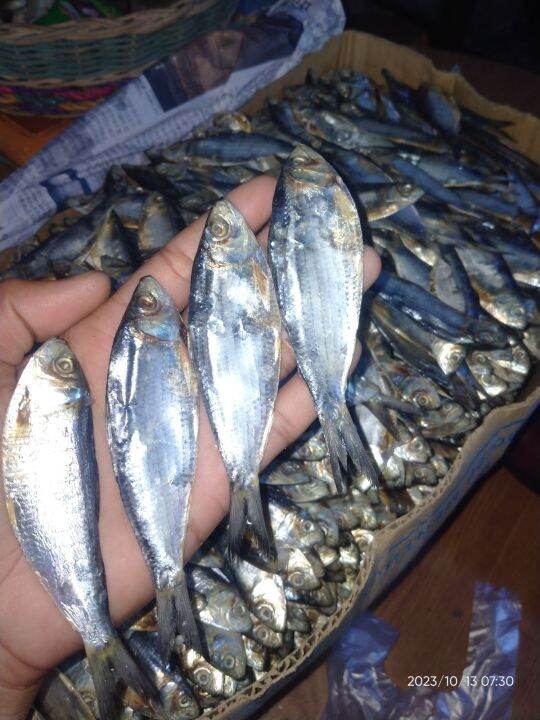 Salinas tuyo the original unsalted masarap mabango laging bago 500g ...