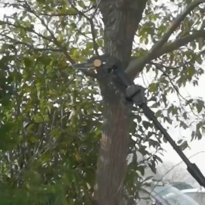 Gergaji elektrik pokok electric chainsaw long handle Cordless Battery ...