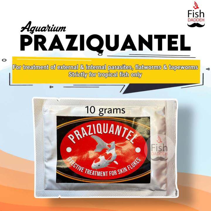 Aquarium Praziquantel Parasite Treatment for Fish Flukes 10g | Lazada PH