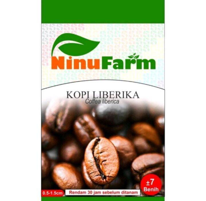 Benih Kopi Liberika / Bibit Kopi Liberika Bibit Tanaman Biji Kopi ...