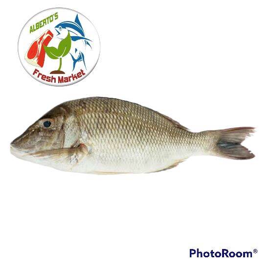 FRESH SEAFOODS BETILYA FISH 1kg | Lazada PH