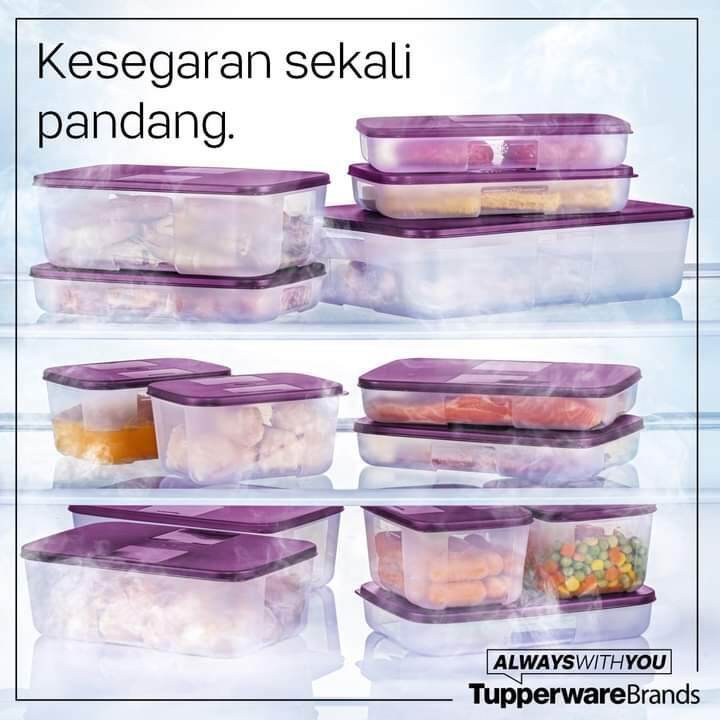 Tupperware FreezerMate Beautiful Purple | Lazada