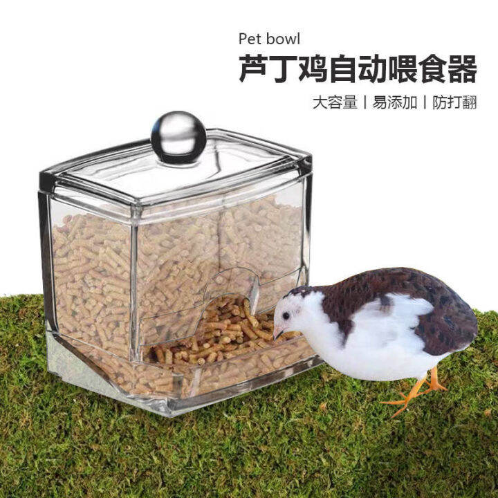 Luding Chicken Feeder Drinker Feeder Chicken Acrylic Food Box Luding ...