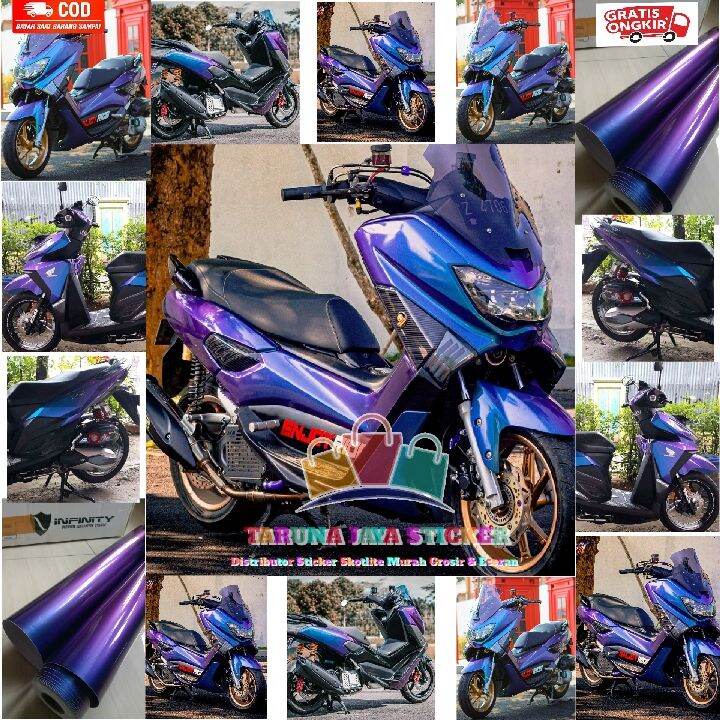Stiker Skotlet Bunglon Chameleon Biru Aurora Stiker Motor Bunglon Biru ...