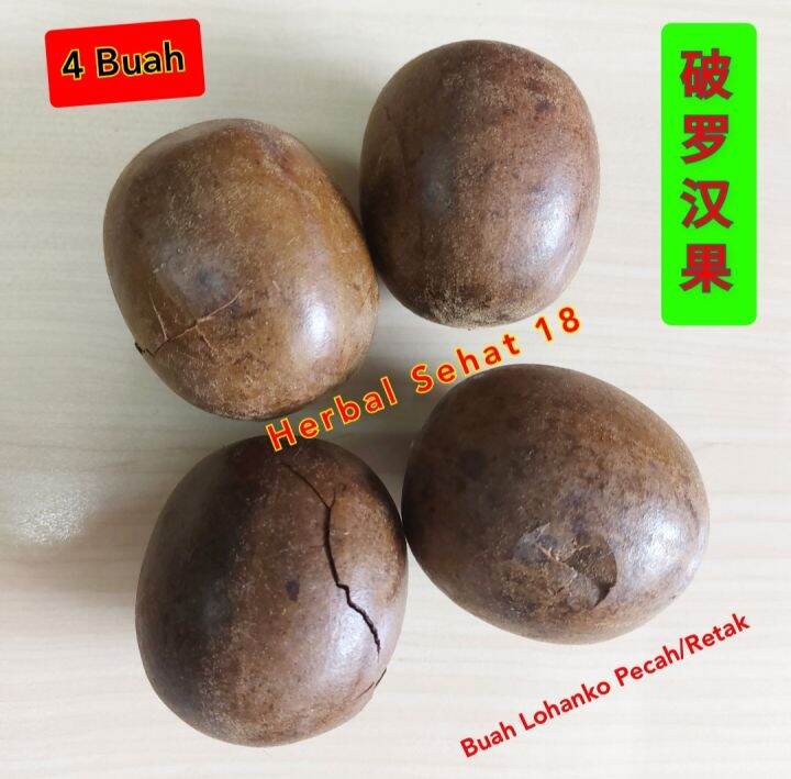 4 Butir Biji Buah Lohanko PECAH Lohankuo 破罗汉果 Luhanguo Luo Han Guo Lo ...