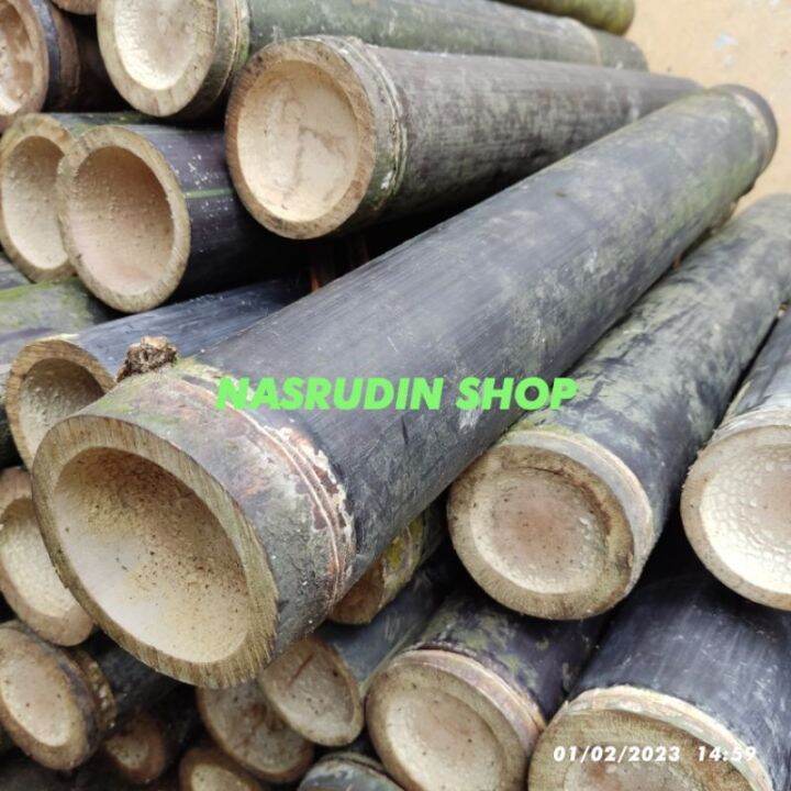 BAMBU HITAM ATAS BAWAH TERTUTUP / BAMBU WULUNG UNTUK KERAJINAN DAN SENI ...