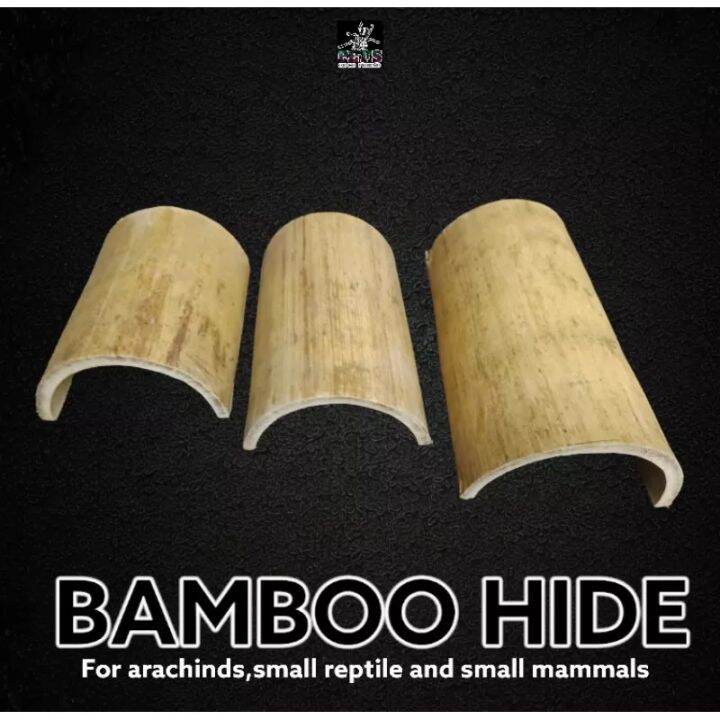 BAMBOO HIDE for arachnids and small reptiles | Lazada PH