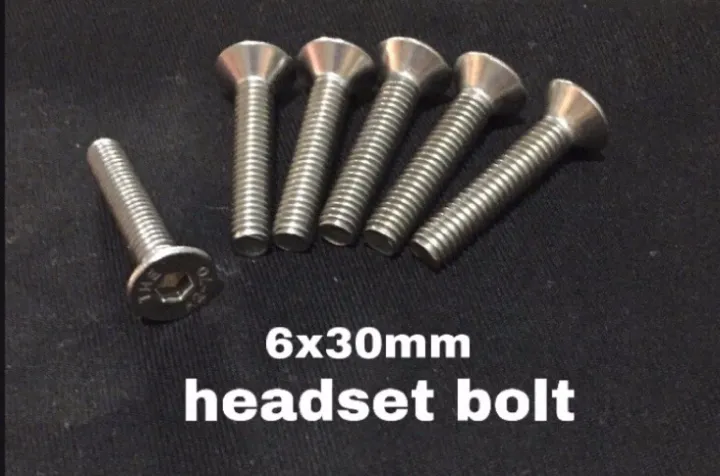 Stainless Steel Headset Bolts ( 1 PC Only ) | Lazada PH