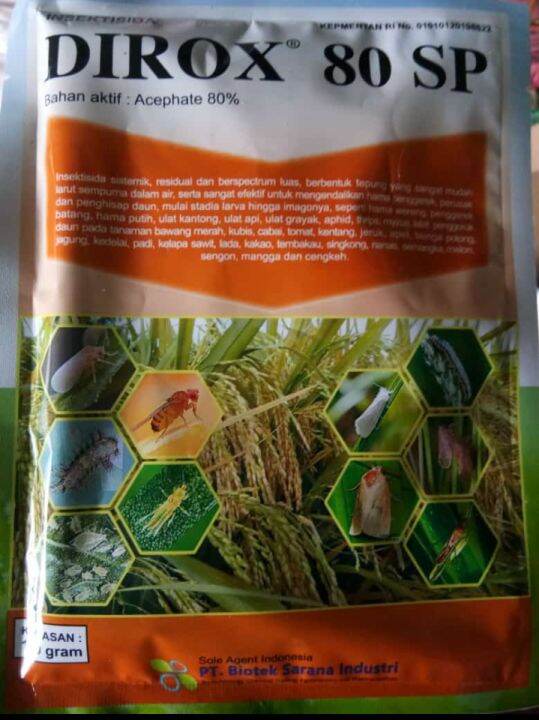 Insektisida Dirox dengan Bahan Aktif Acephate 80 SP | Lazada Indonesia