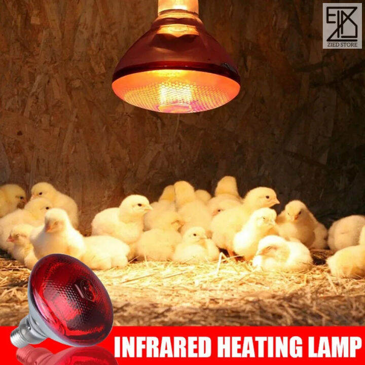 200 watt Lampu infrared pemanas ruangan kandang ayam DOC babi bebek ...