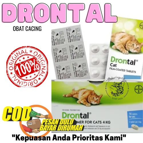 Drontal Obat Cacing Kucing | Lazada Indonesia