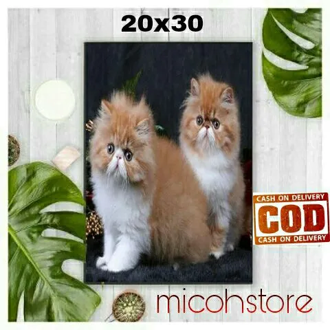 HIASAN DINDING TEMA KUCING/POSTER KAYU GAMBAR KUCING/POSTER KUCING ...