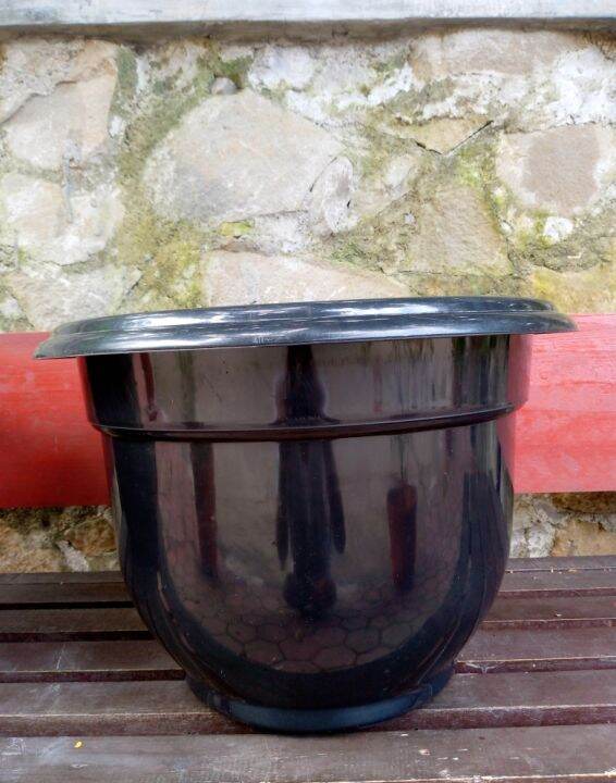Pot Tanaman Besar Ukuran 45 50/Pot Tanaman Besar Cempaka (global lion ...