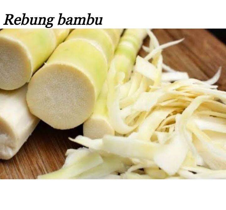Rebung bambu rebus segar 1kg rebung bambu potong banyak manfaat ...