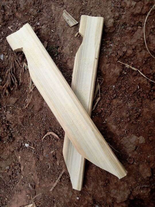 Patok Bambu ukuran 20cm 3 batang buat tenda, Kemah, tarik benang ...