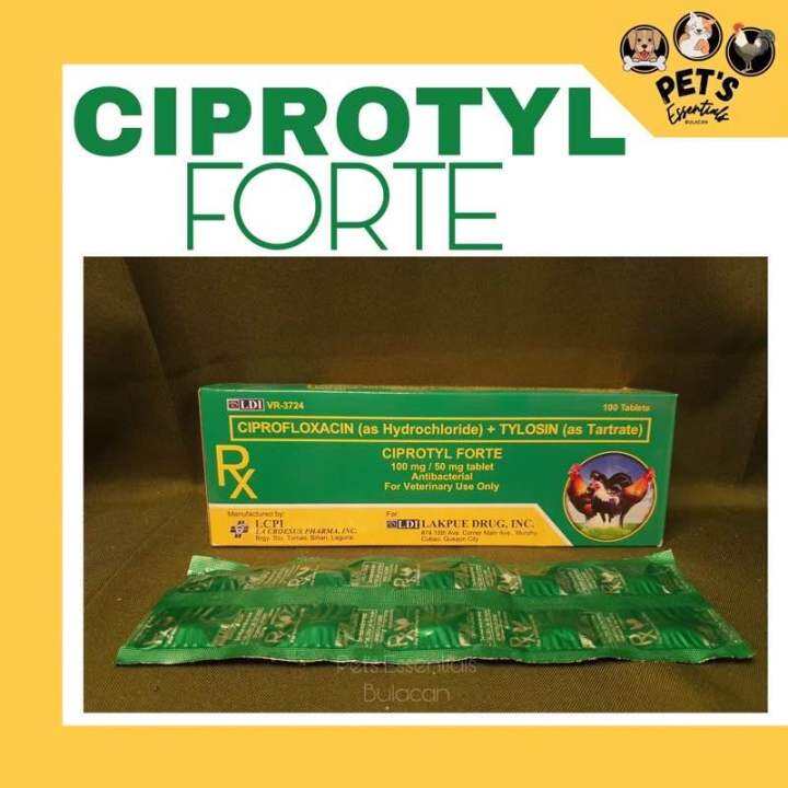 Ciprotyl Forte 100pcs | Lazada PH