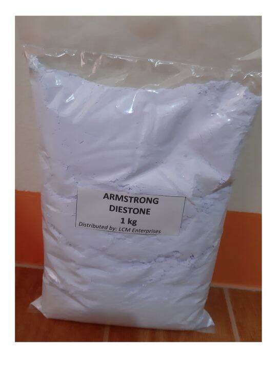 Diestone 1kg Armstrong | Lazada PH