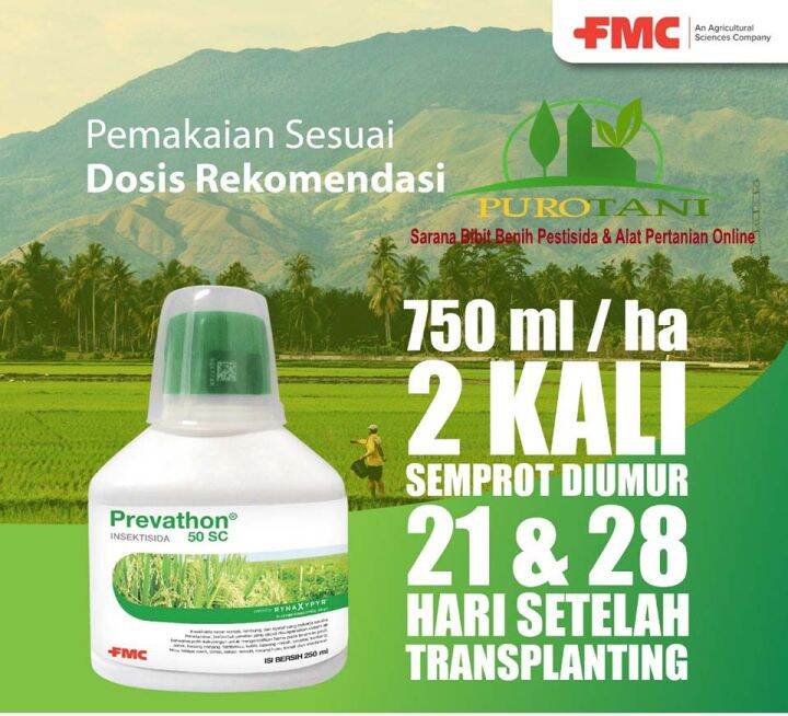 Insectisida prevathon 50 SC , 100 ml. Prevaton mengandung bahan aktif ...