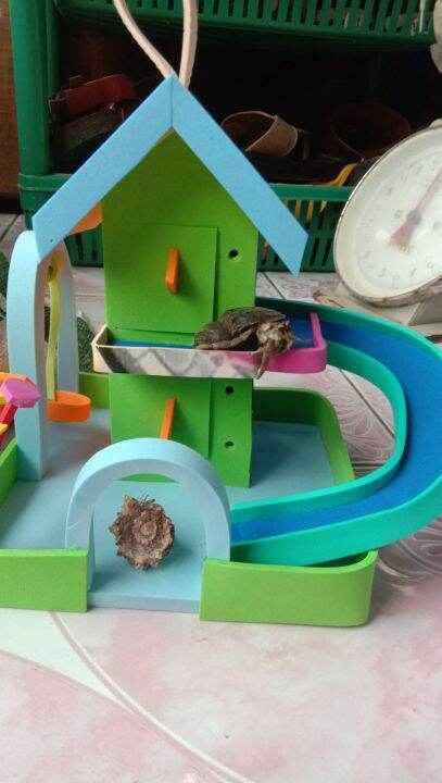 Mainan kelomang Umang plus rumah dan bonus kumang | Lazada Indonesia