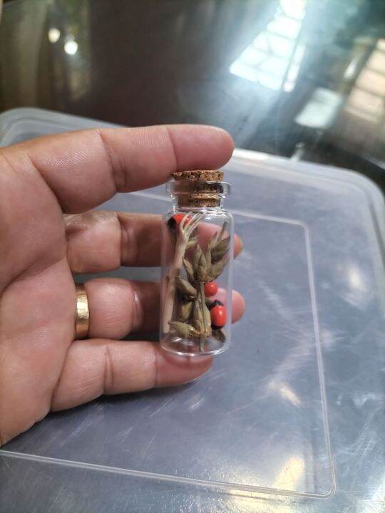 Bulaklak ng kawayan saga saga and tagupaypay in bottle pangpaswerte sa ...